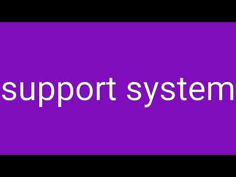 Support System Definition & Meaning