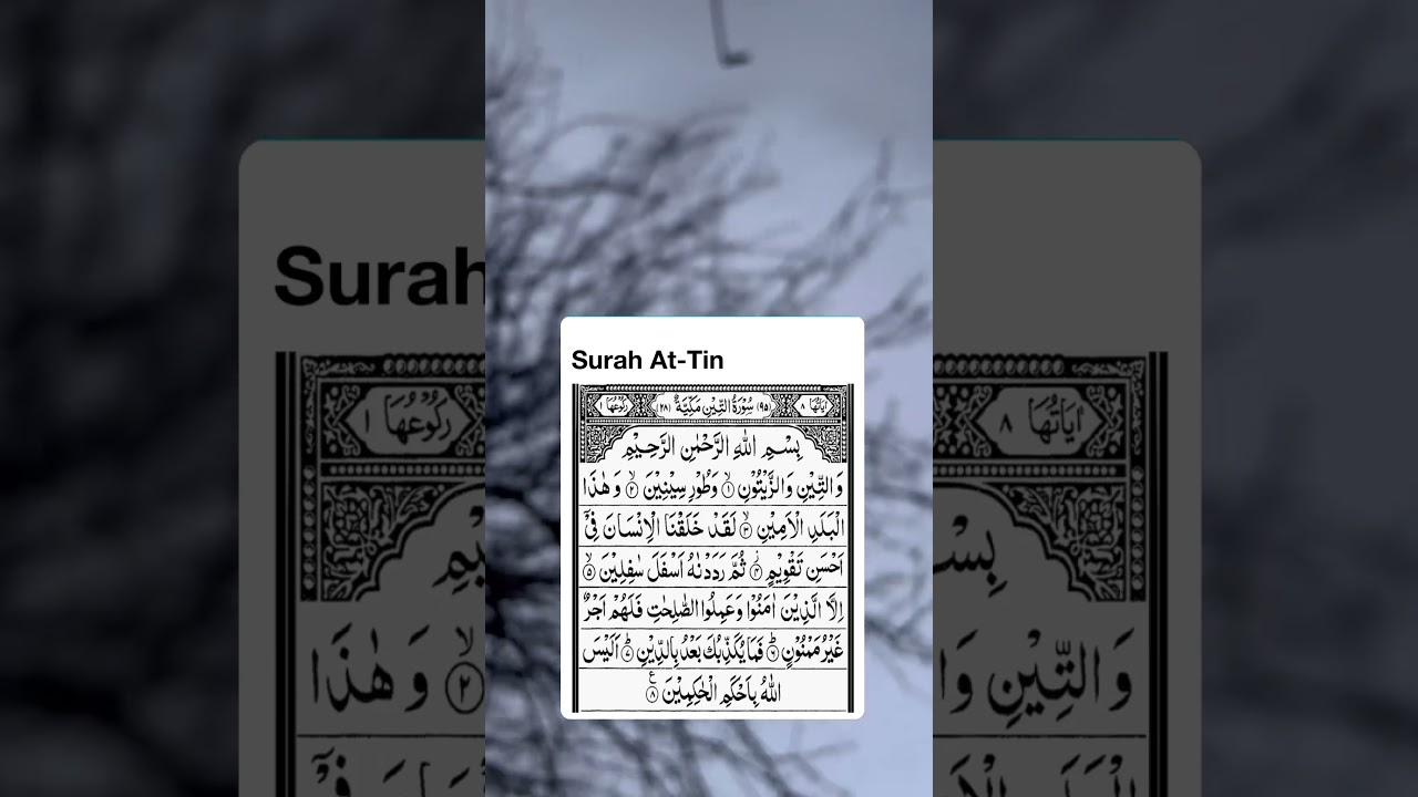 Surah At Tin quran