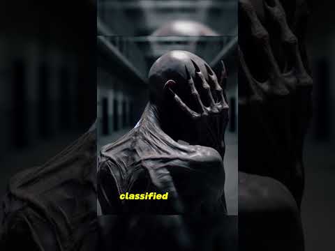SCP-096 - The Shy Guy | PART 1