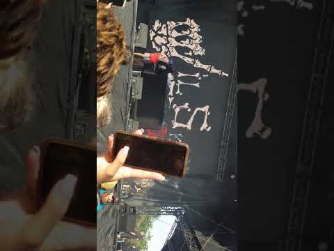 Lil skies set Lollapalooza 2018