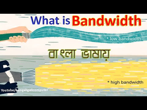 What is Bandwidth, Channel Capacity, Throughput, Latency of a Computer Network ? in Bengali Language