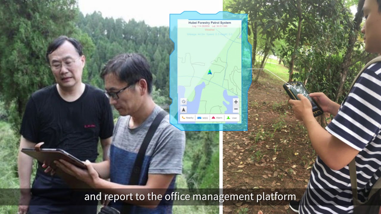 Smart Forestry