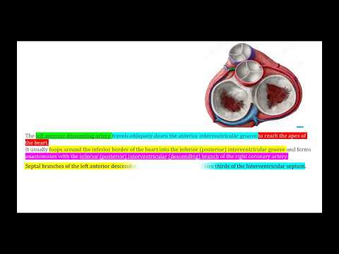 12 JUNE 2025 - CORONARY BLOOD FLOW AND ANAESTHESIA - PROFESSOR V NAGASWAMY