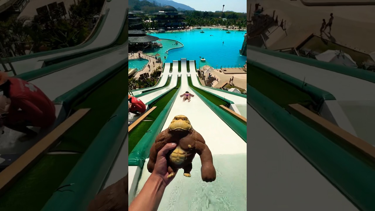 Monkey and Grandpa on a Water Slide😇