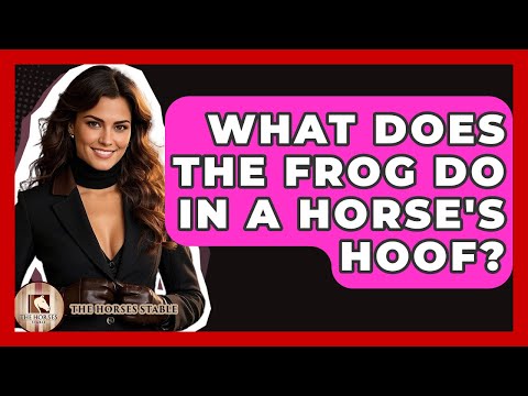What Does The Frog Do In A Horse's Hoof? - The Horses Stable