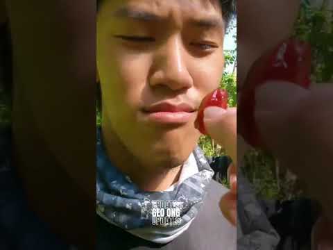 MAHAL KO KAYO EH SABAY SUBO #Shorts #Geoong #geo #geoong #prank #ong