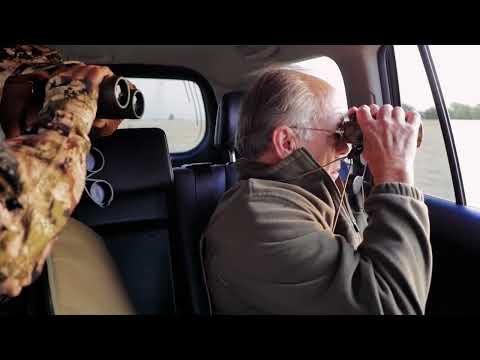 Roe Deer Hunt in Spain