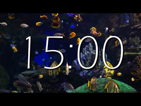 Aquarium - 15 MINUTE TIMER Sea Animals With Relaxing Music