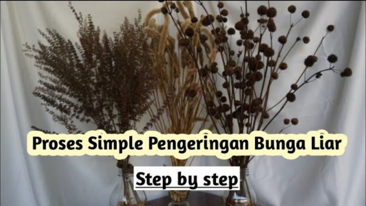Cara buat bunga kering dari alam ANTI RONTOK | easy way to make wild flowers aesthetic