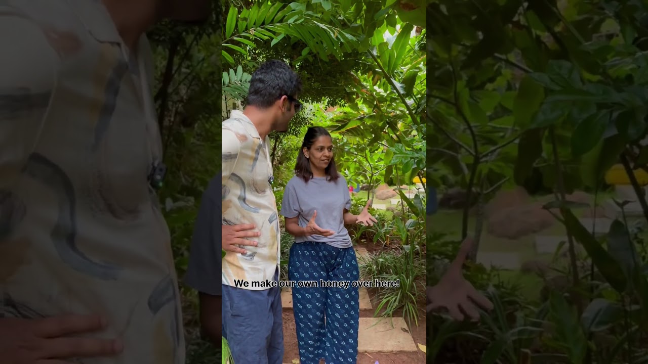 Beautiful 😍, Eco-Friendly house 🏡 for rent in Bangalore #bangalore #bangalorehouseforrent