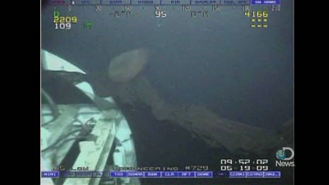 Rare Monster Jellyfish Caught on Tape