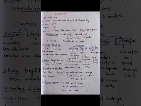 Sternum bone anatomy #anatomy #notes #bams #mbbs #medicalstudent