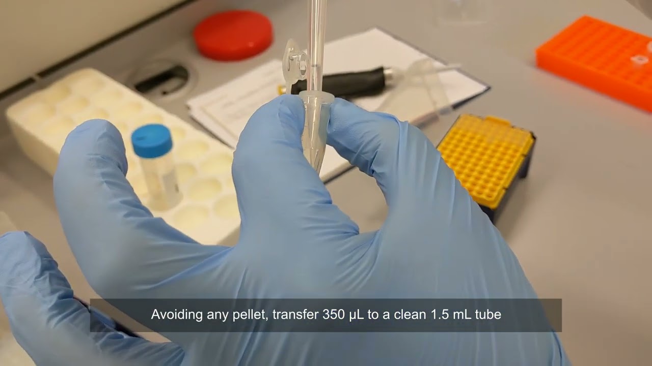 Laboratory protocol for isolating eDNA from Sterivex filters