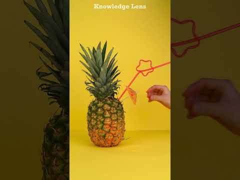 Pineapples๐: Symbol of Luxury || Knowledge Lens