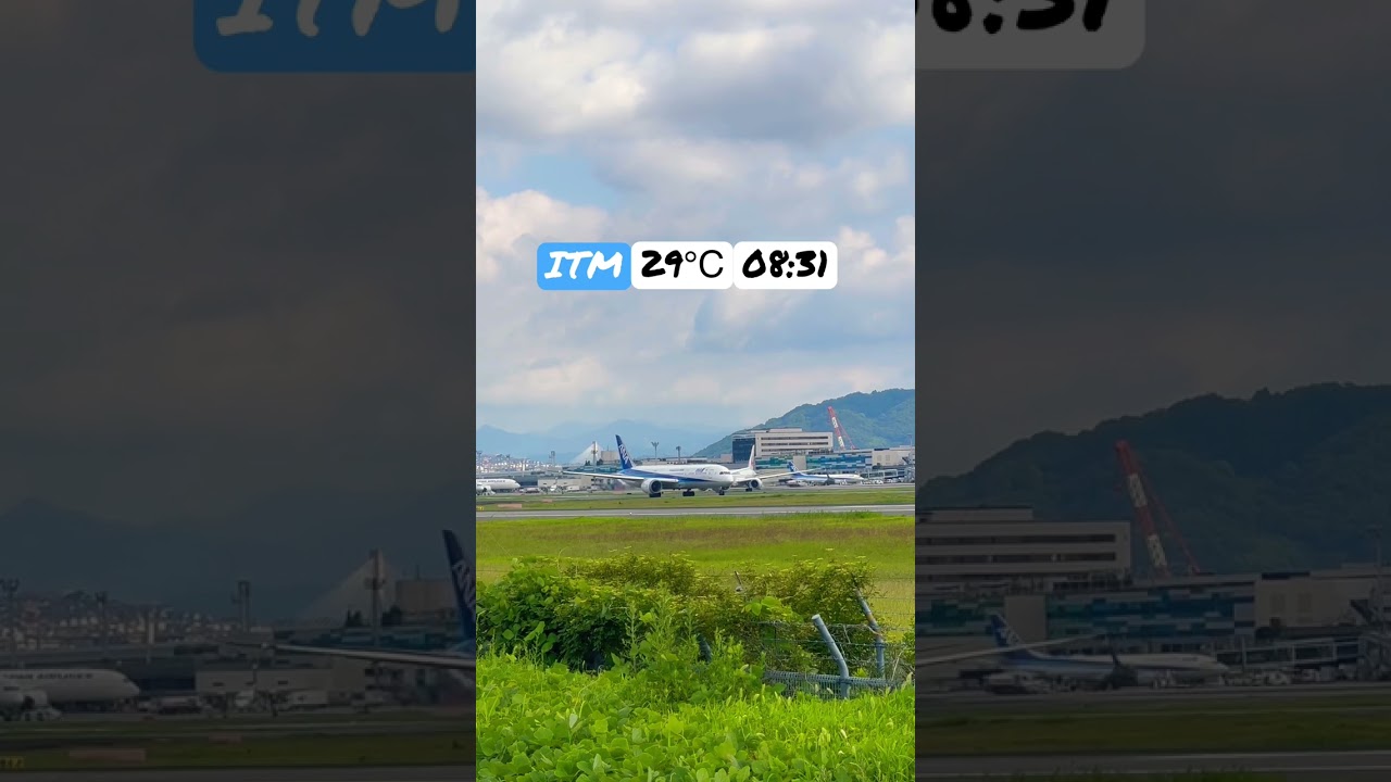 Two Boeing787 aircraft ANA & JAL Osaka International Airport #ana #JAL #boeing787dreamliner