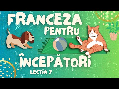 Franceza pentru incepatori (7) - Propozitii simple in franceza(2023)-partea a doua
