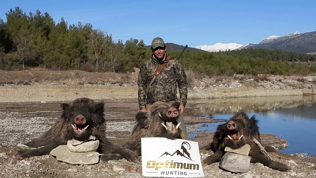 Optimum Hunting – Big game hunting at optimum prices