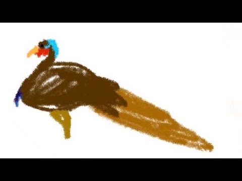 Happy Turkey Day!