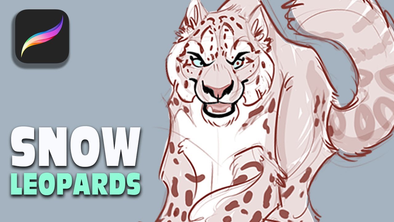 Drawing Snow Leopards in Procreate