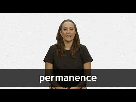 English Translation of “PERMANENCE” | Collins French-English Dictionary