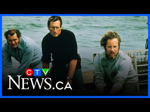 'Jaws' celebrates its 50th anniversary