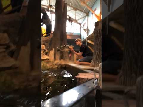 GIANT bass out of the BASS PRO fish tank π #viral #fyp #fishing #bassfishing
