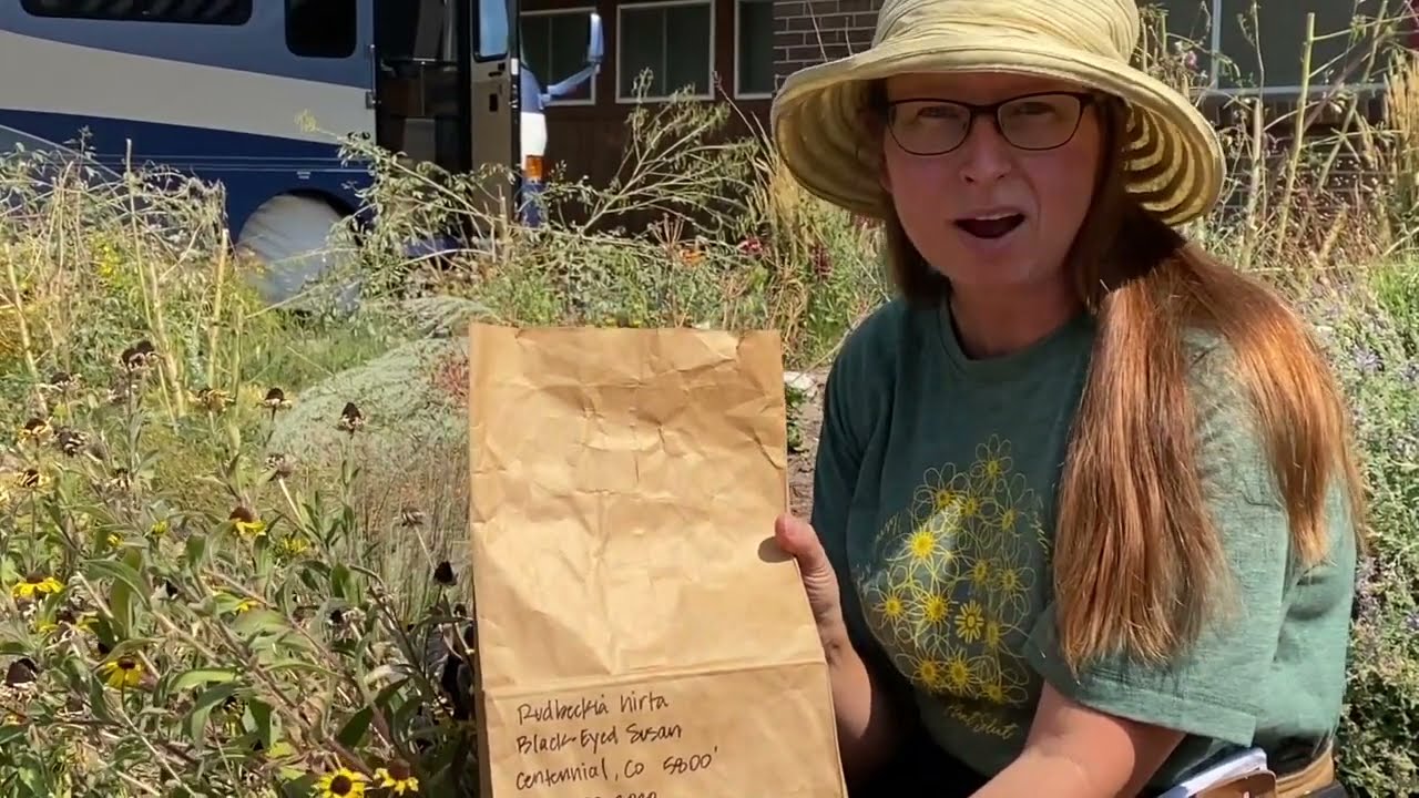 Native Seed Collection & Cleaning Strategies