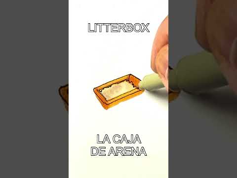 Learn Spanish! ¡Aprenda Inglés! LITTERBOX : LA CAJA DE ARENA