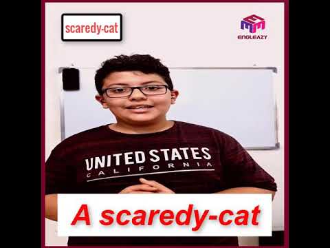 Scaredy cat