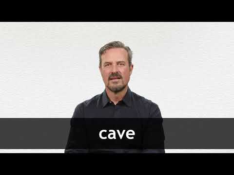 CAVE definition and meaning | Collins English Dictionary