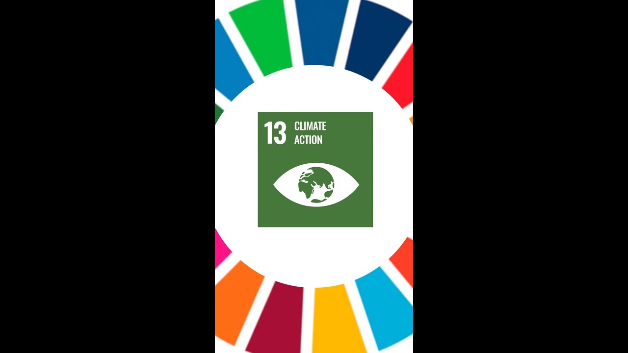 What are the UN Sustainable Development Goals?