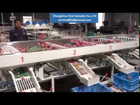 Onion Grading Machine at Best Price in India