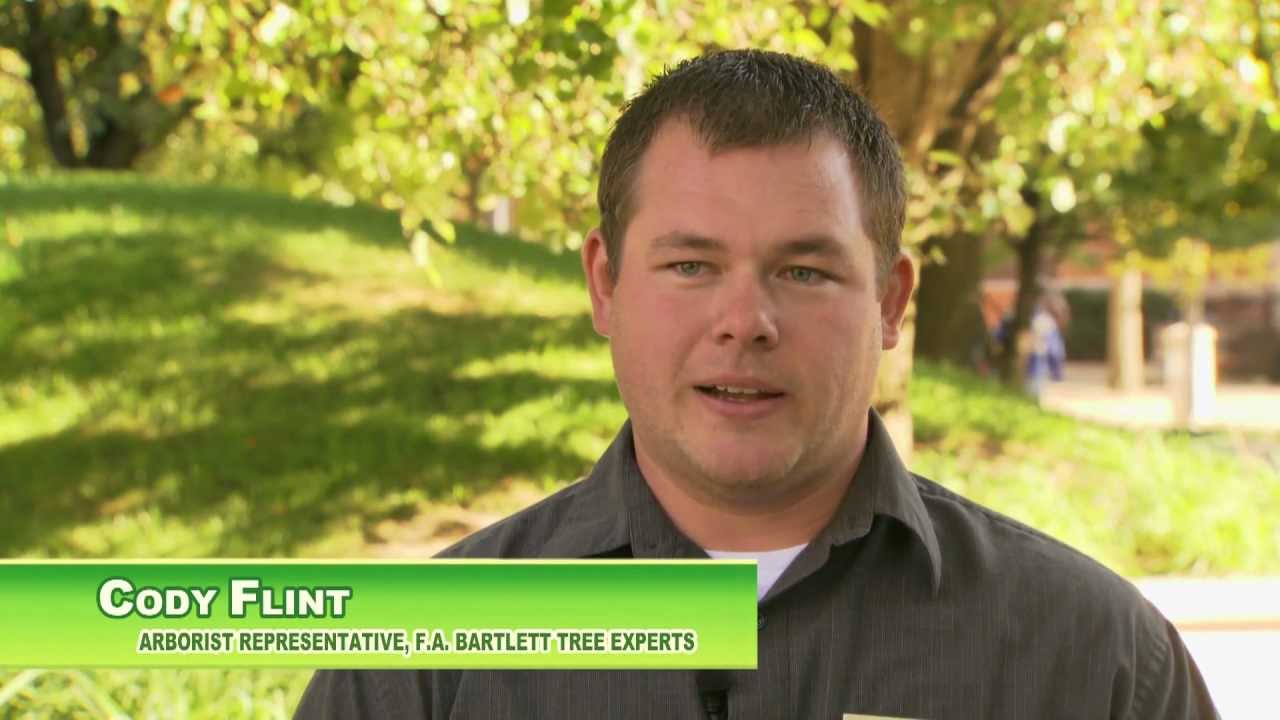 Urban Forestry at Purdue University