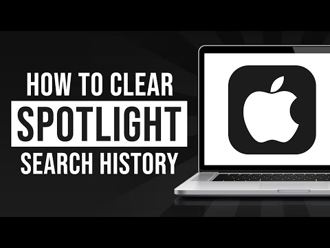 How to Clear Spotlight Search History on iPhone (2024)