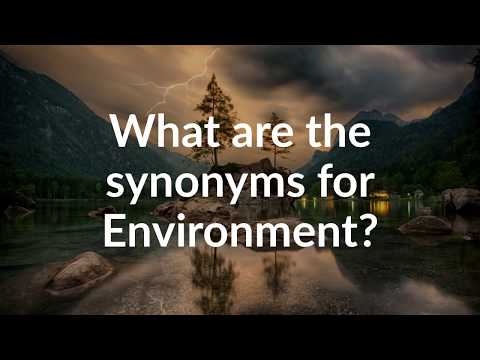 Synonyms for Environment (with pronunciation)