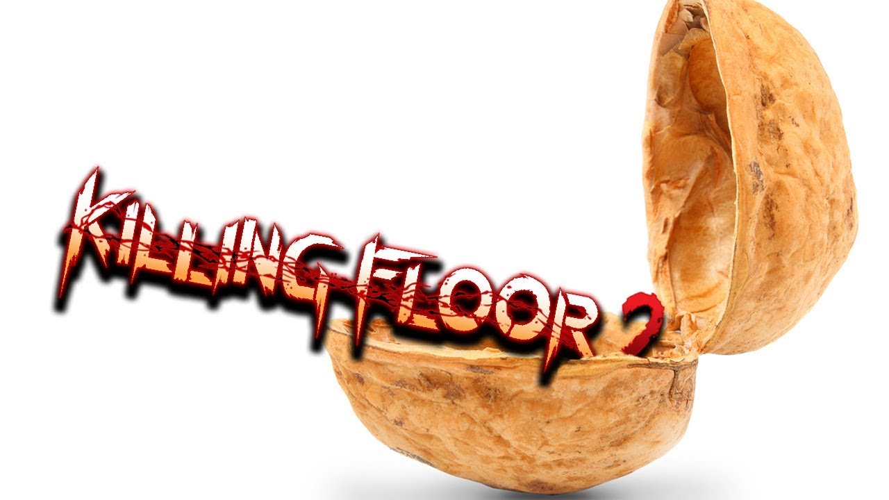 Killing Floor 2 in a Nutshell