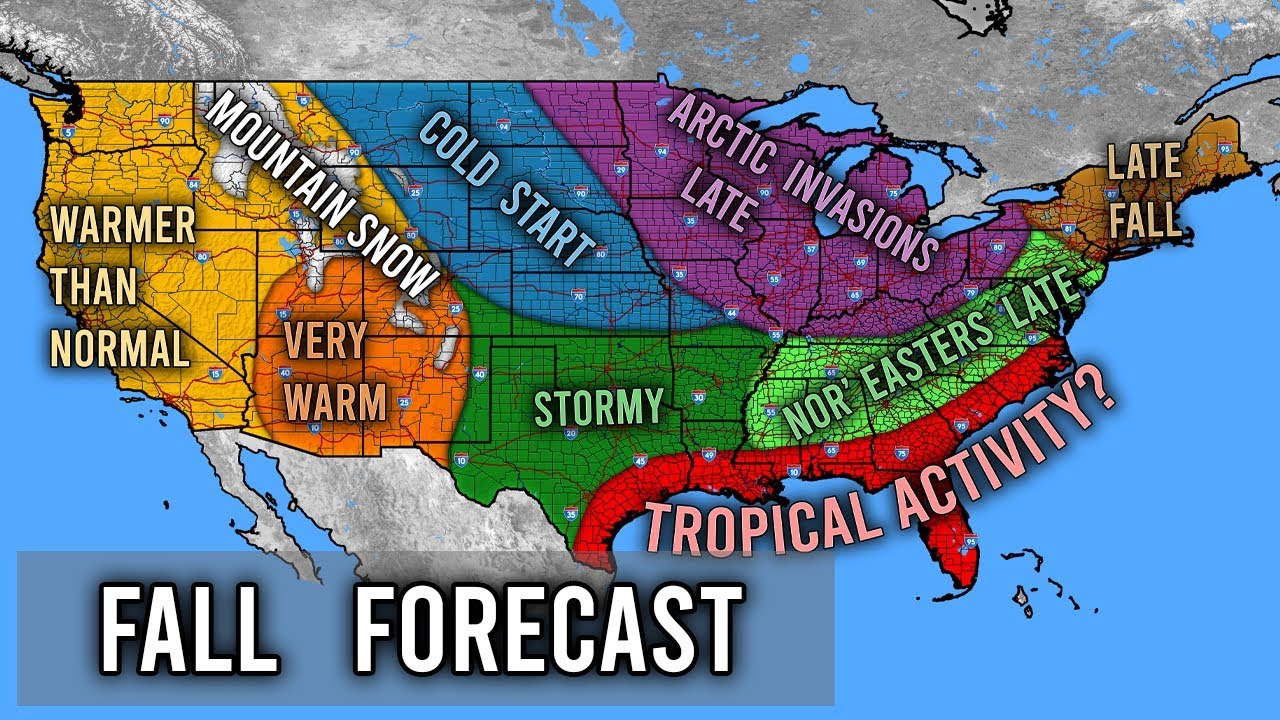 4th Fall 2019 Forecast