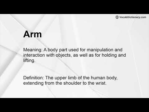 Arm Meaning