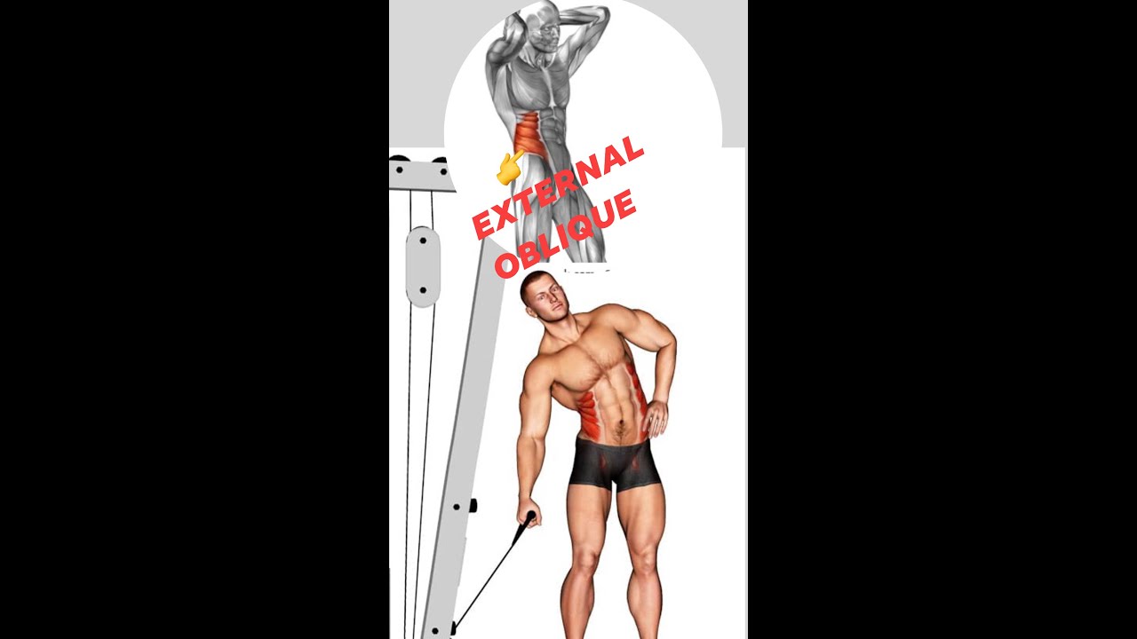 OBLIQUES Cable side bend