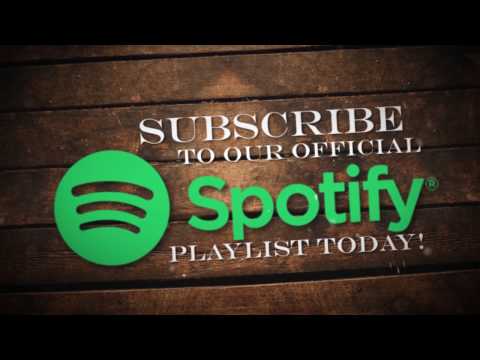 DISCOVER NEW MUSIC Official Spotify Playlist [Pop Punk, Rock, Indie, Metal and more!]