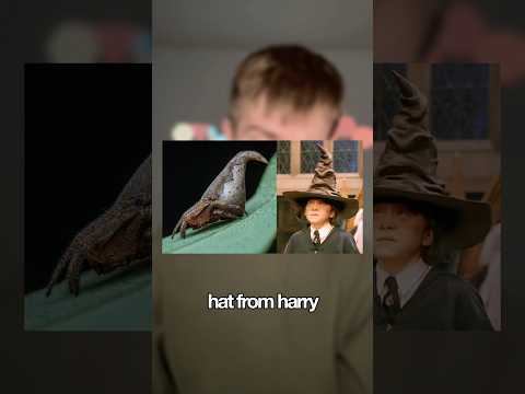 ANIMALS NAMED AFTER CELEBRITIES!
