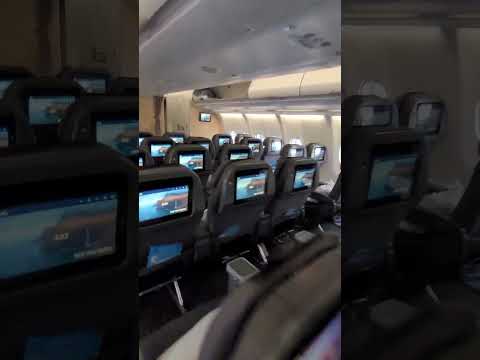 SAS A330-300 cabin interior