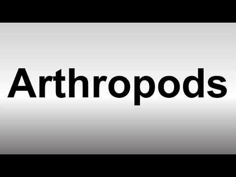 How to Pronounce Arthropods