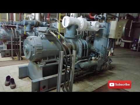 Refrigeration ammonia plant. Compressor. Grasso and gram