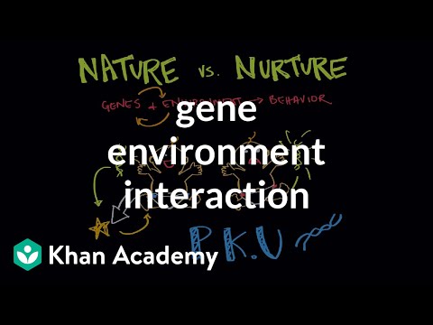 Gene environment interaction | Behavior | MCAT | Khan Academy