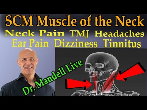 The SCM Muscle of the Neck - The Common Cause of Neck Pain, TMJ, Headaches, Dizziness, Tinnitis