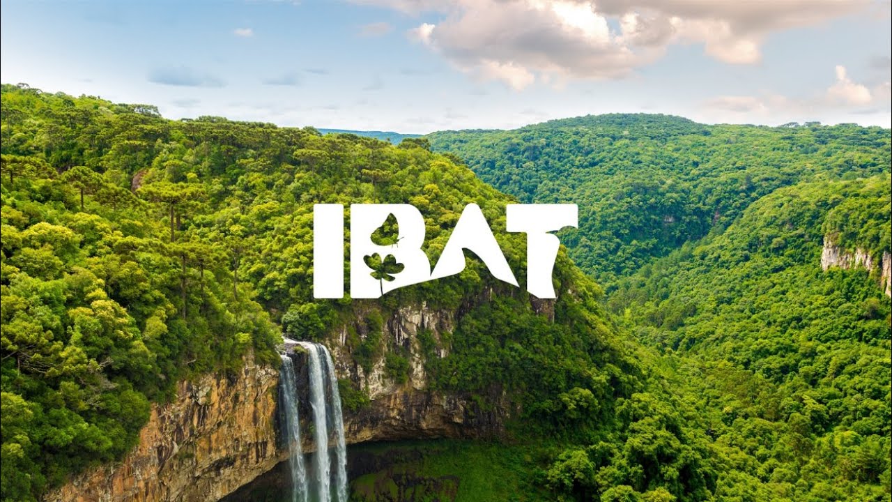IBAT Demo Overview & Walkthrough
