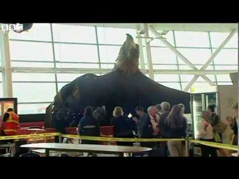 New Zealand quake fells airport Hobbit eagle sculpture