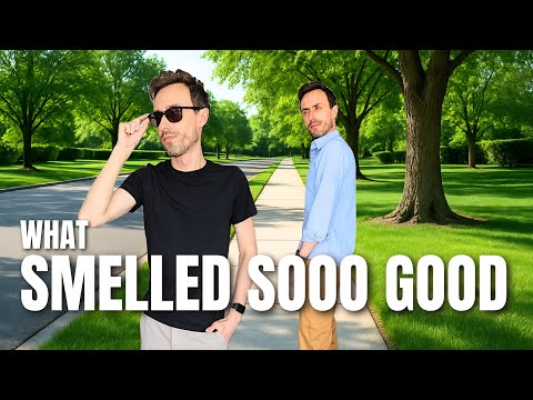 #BEST #FRAGRANCES FOR MEN I SMELLED ON SOMEONE AND HAD TO BUY THEM