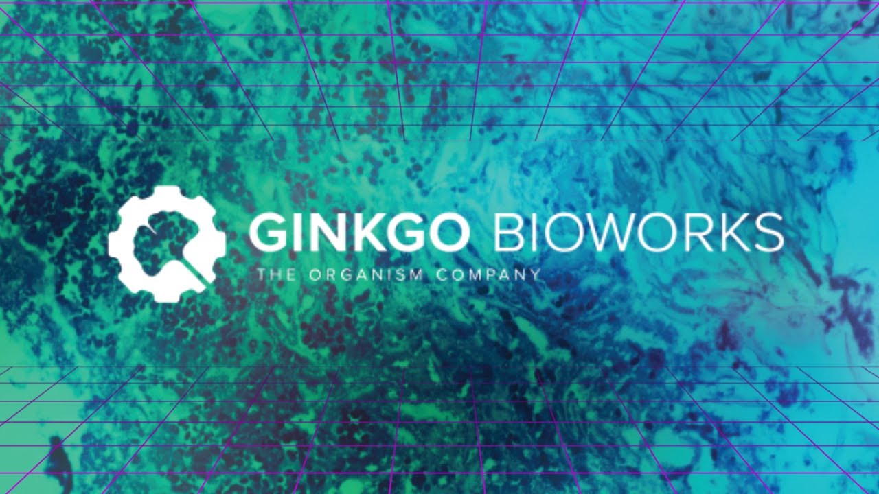 DNA: Ginkgo Bioworks Is A Solid Bet on Synthetic Biology